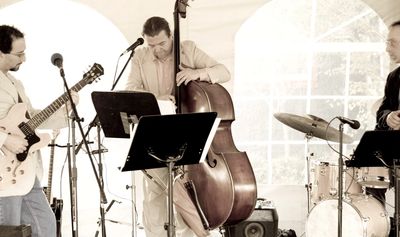 Weddings | Mark Harding